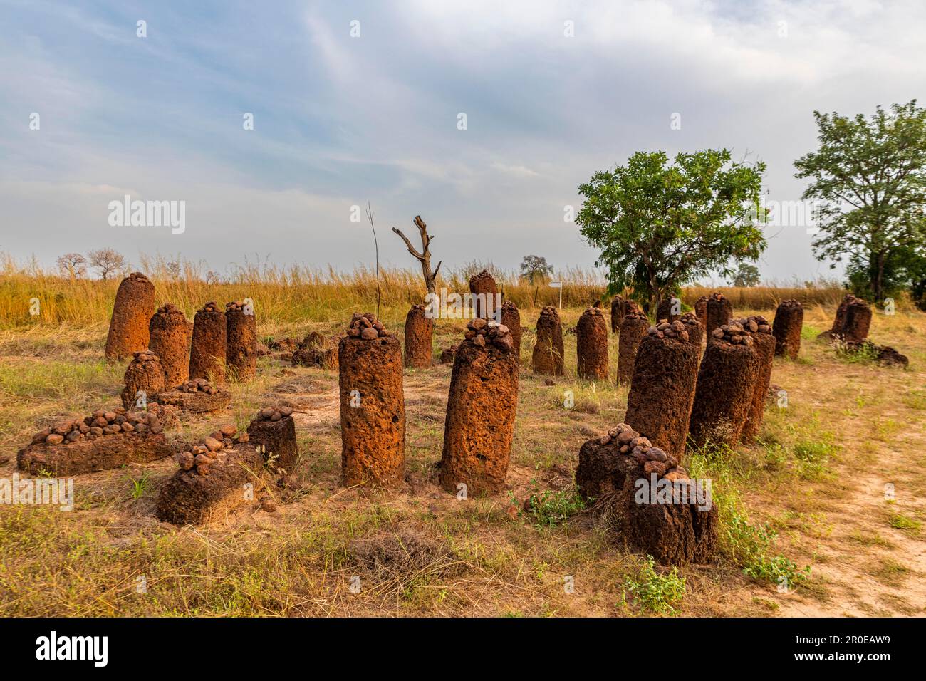 Unesco site Senegambian stone circles, Wassu, Gambia Stock Photo - Alamy