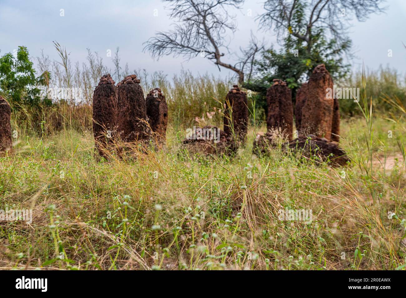 Senegambian stone circles hi-res stock photography and images - Alamy