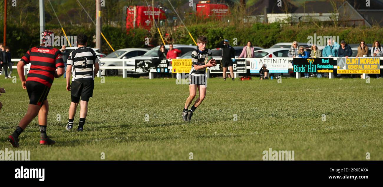 Tumble rfc hi-res stock photography and images - Alamy