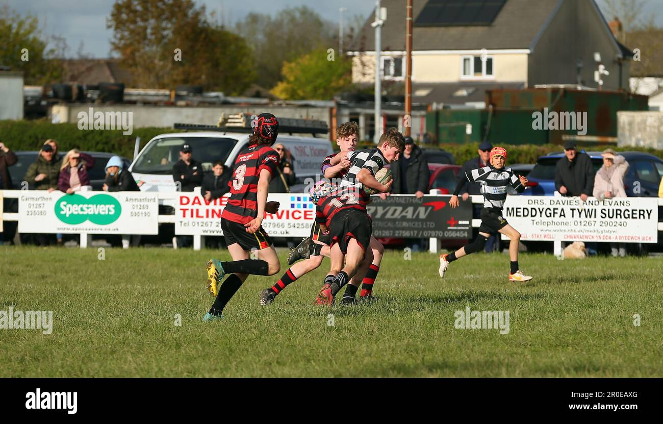 Tumble rfc hi-res stock photography and images - Alamy