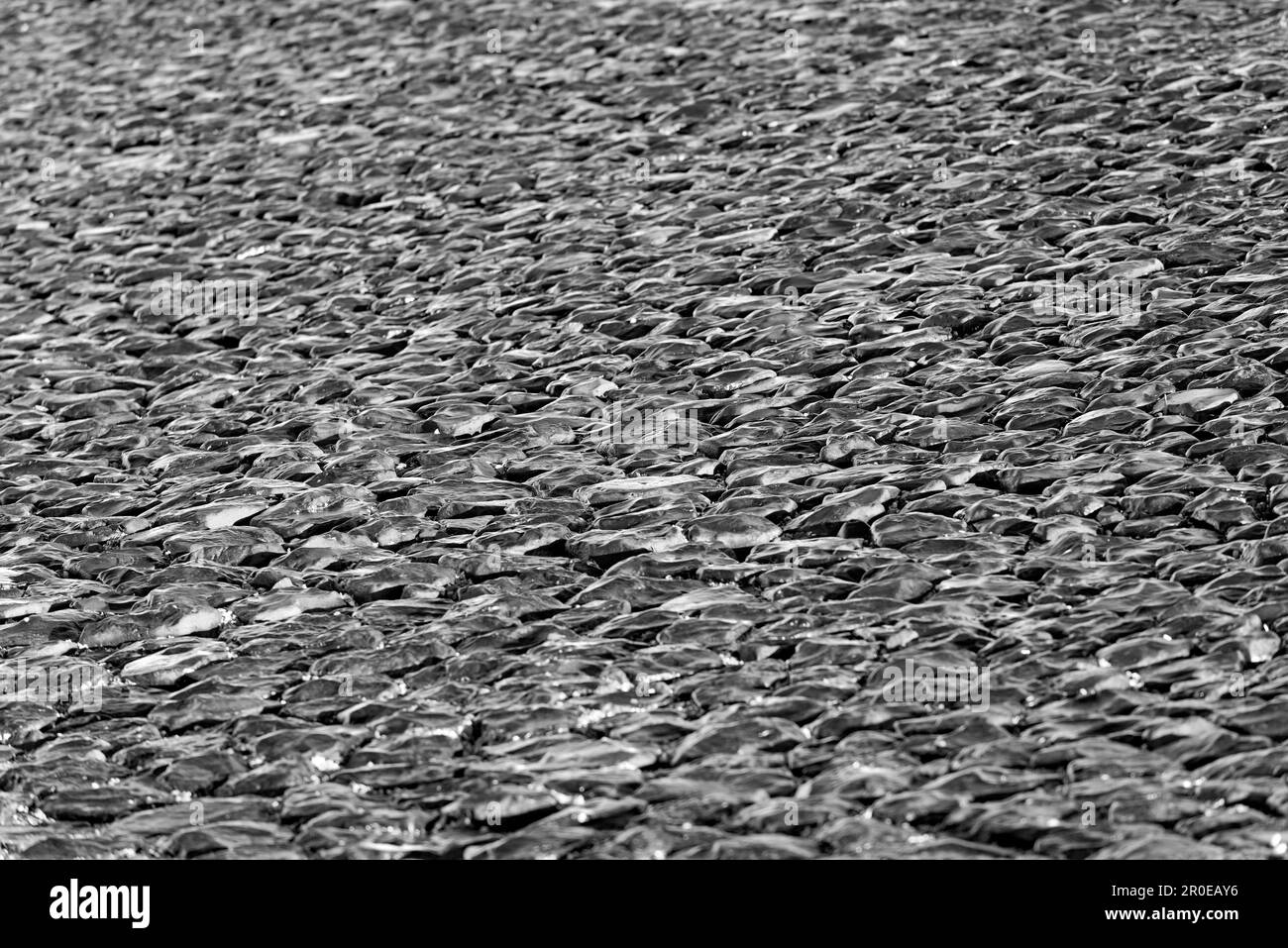Basalt stones in the morning light, dyke stabilisation, black and white ...