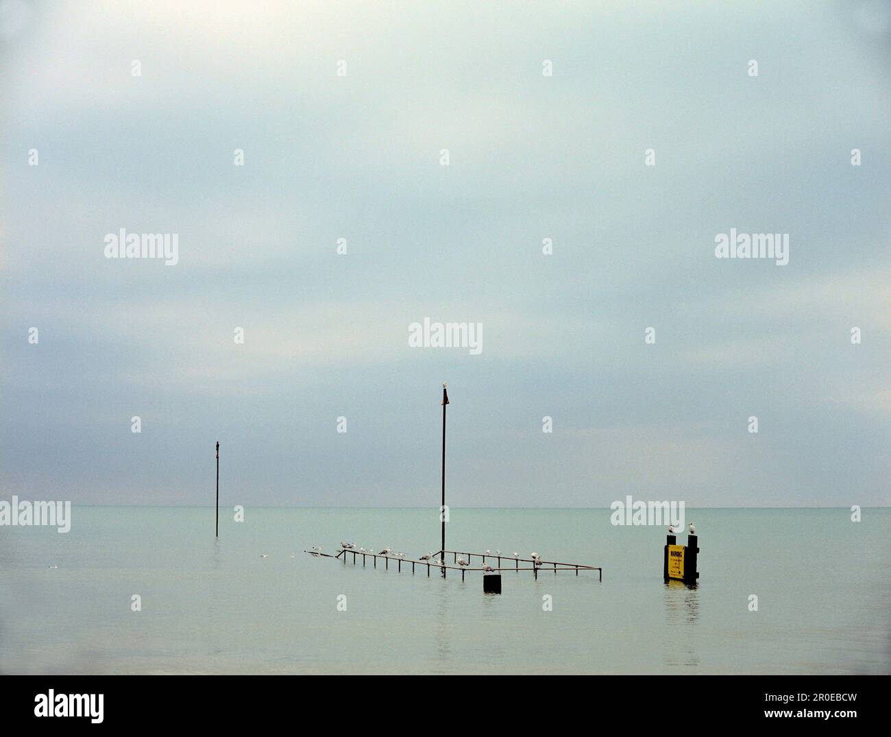 Inundated footbridge and seagulls, Dymchurch, England Stock Photo - Alamy