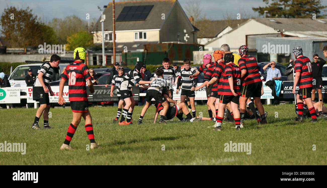Tumble rfc hi-res stock photography and images - Alamy