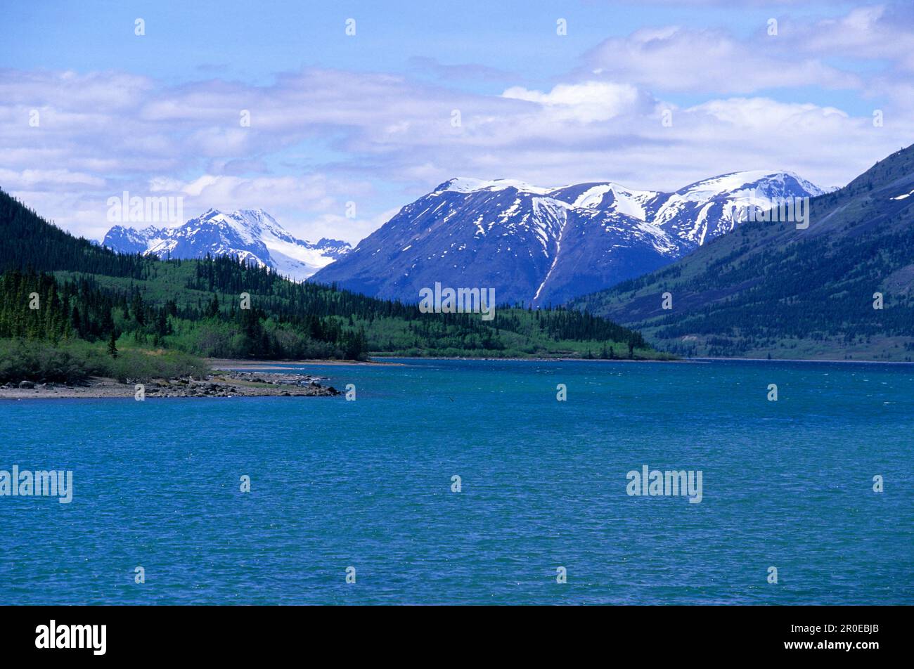Bennett Lake in front of snow covered mountains, Carcross, Yukon ...