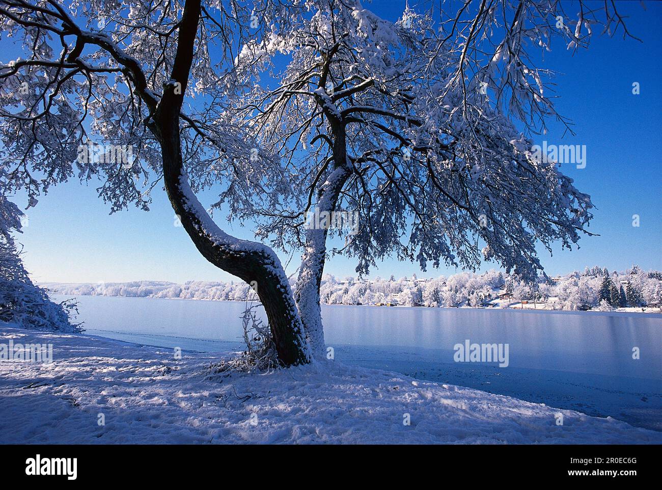 Pilsensee in bavaria hi-res stock photography and images - Alamy