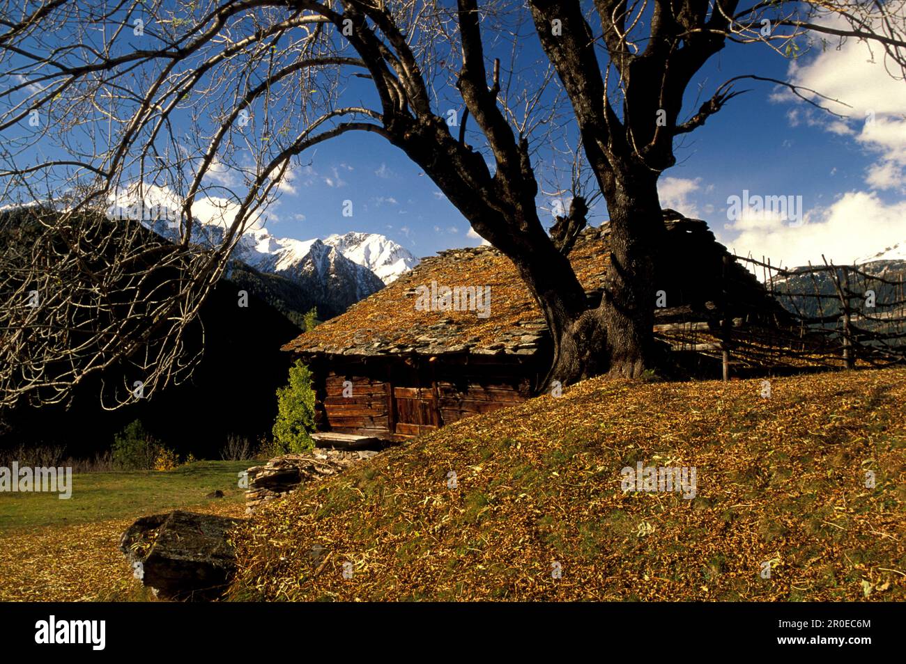 Tengia hi-res stock photography and images - Alamy