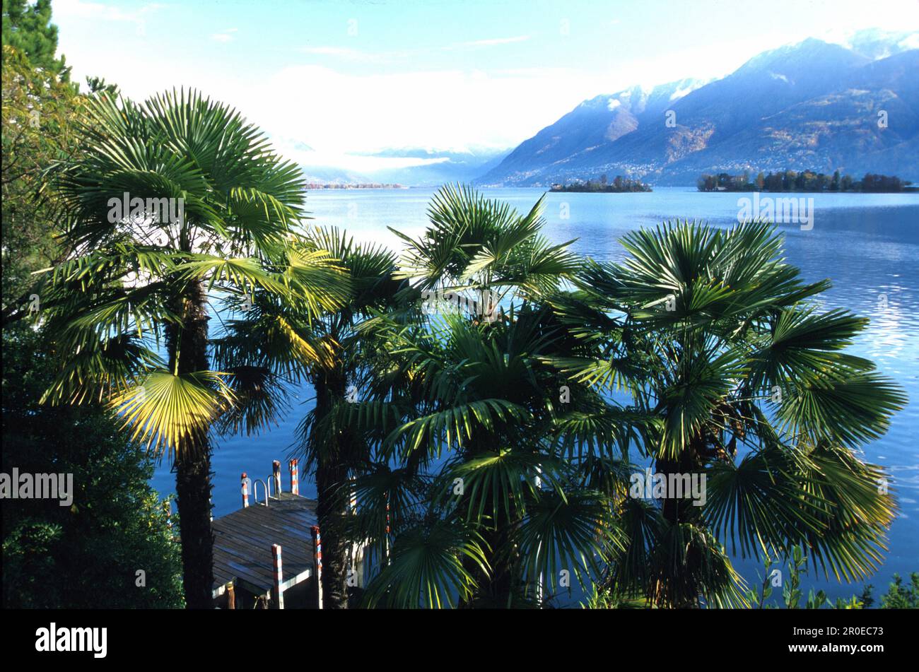 Lago Maggiore, Piemonte Italy Stock Photo - Alamy