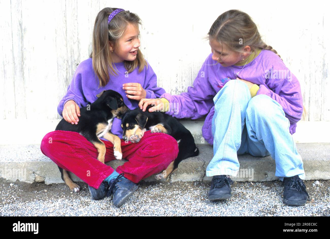 Maedchen mit Welpen, Kinder, People Kinder, People Stock Photo - Alamy