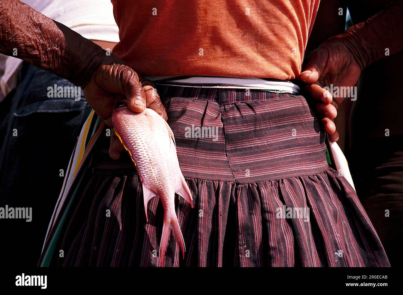 Alligator range hi-res stock photography and images - Alamy