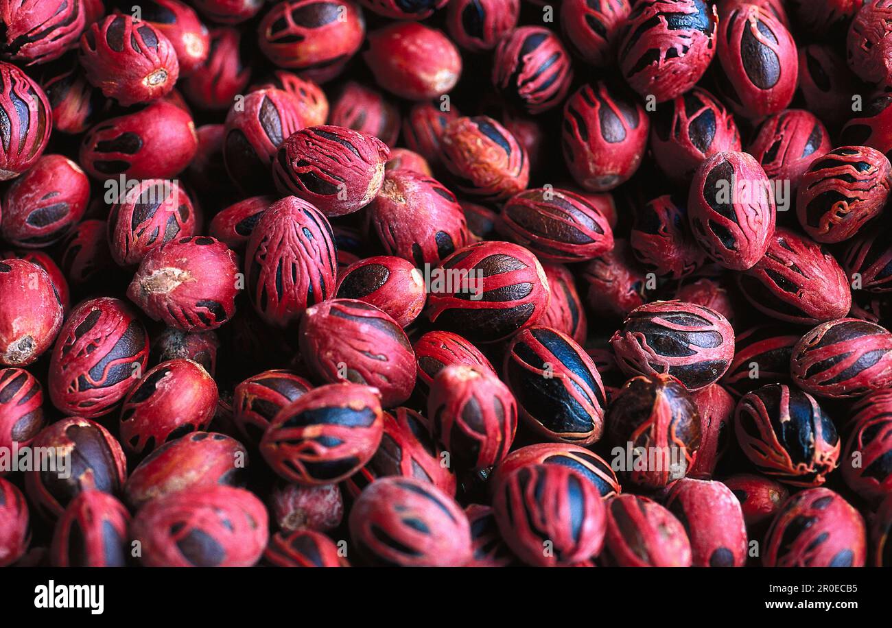 Muskatnuss hi-res stock photography and images - Alamy