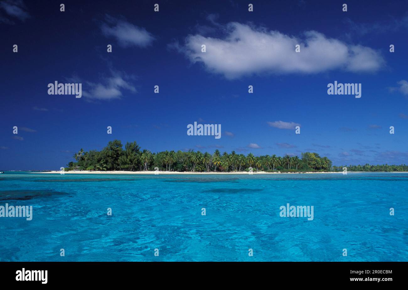 Palm island of the atoll Rangiroa in the sunlight, French Polynesia ...