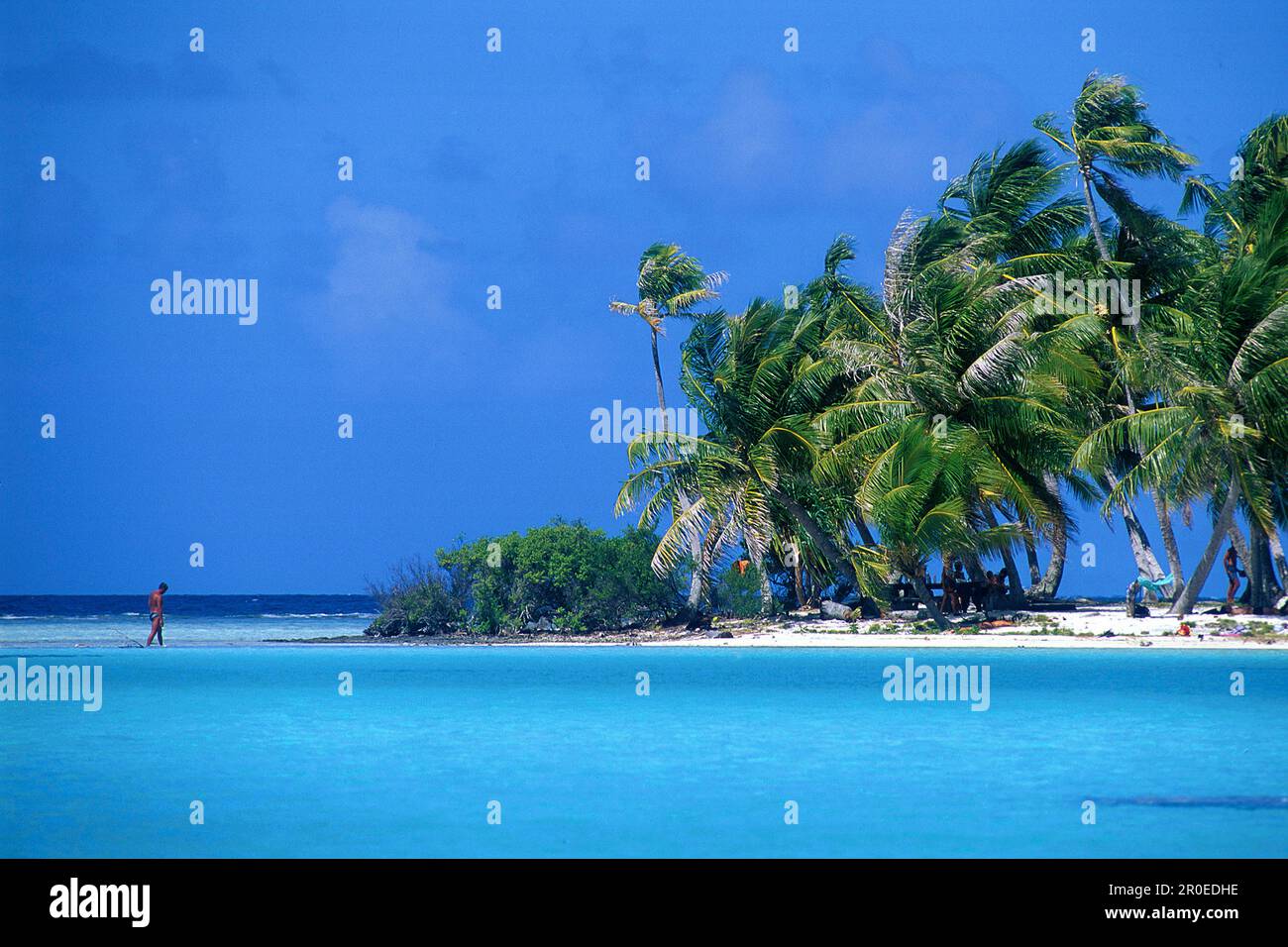 Insel Motu, an Blauer Lagune, Rand des Atolls Rangiroa, Tuamotu Inseln ...