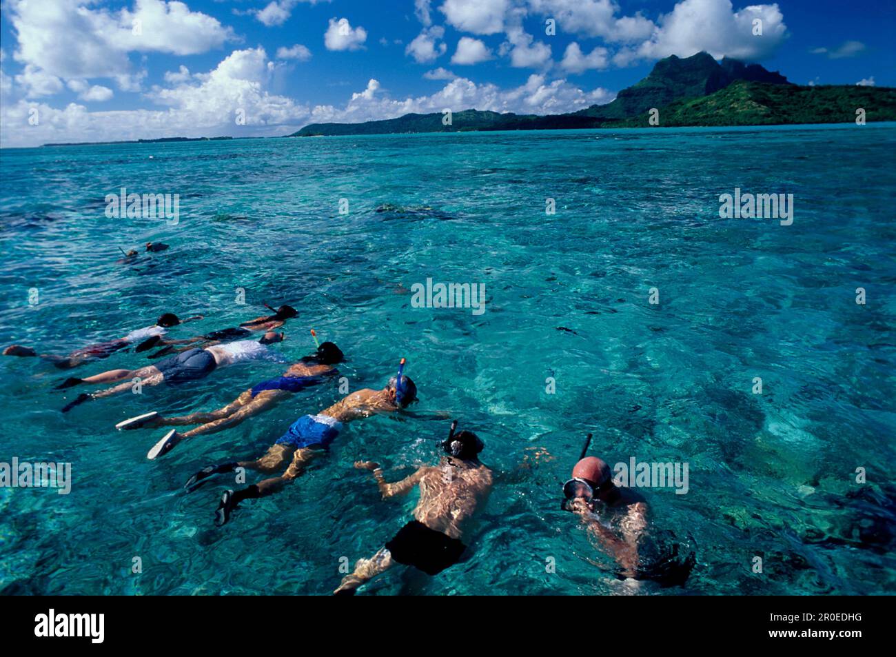 Touristen beim Haiefuettern, Lagune, Bora- Bora Franz. Polynesien Stock ...