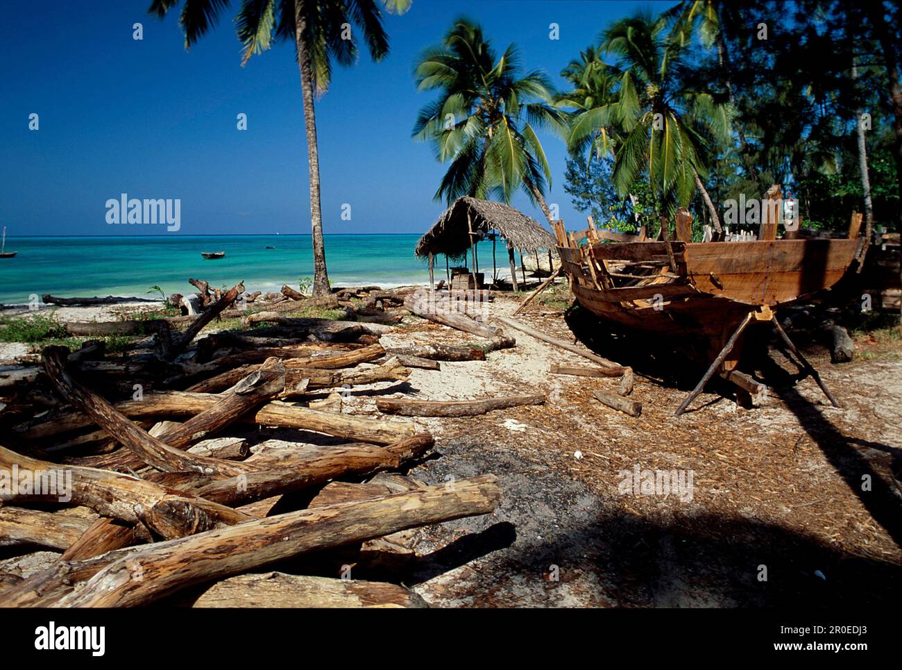 Bau eines trad. Bootes Dhow, , am Strand von Nungwi, Nordkueste ...