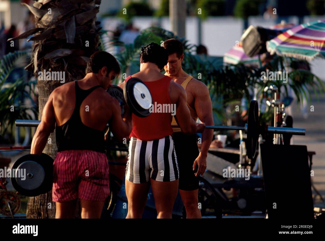 Bodybuilder, Training, Venice Beach, Los Angeles Kalifornien, USA Stock ...
