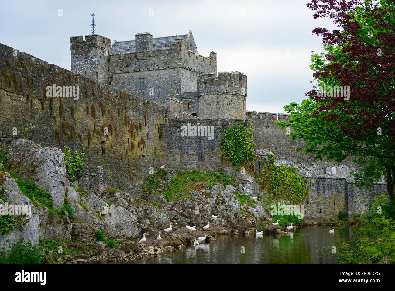 Cahir castle hi-res stock photography and images - Alamy