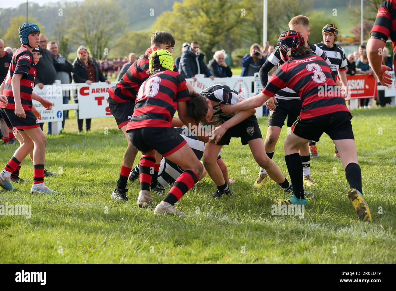 Tumble rfc hi-res stock photography and images - Alamy