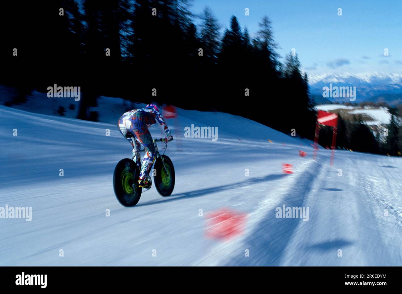 Mountainbike, Rennen, Fahrer, Speed King R. Weissensteiner, Germany ...