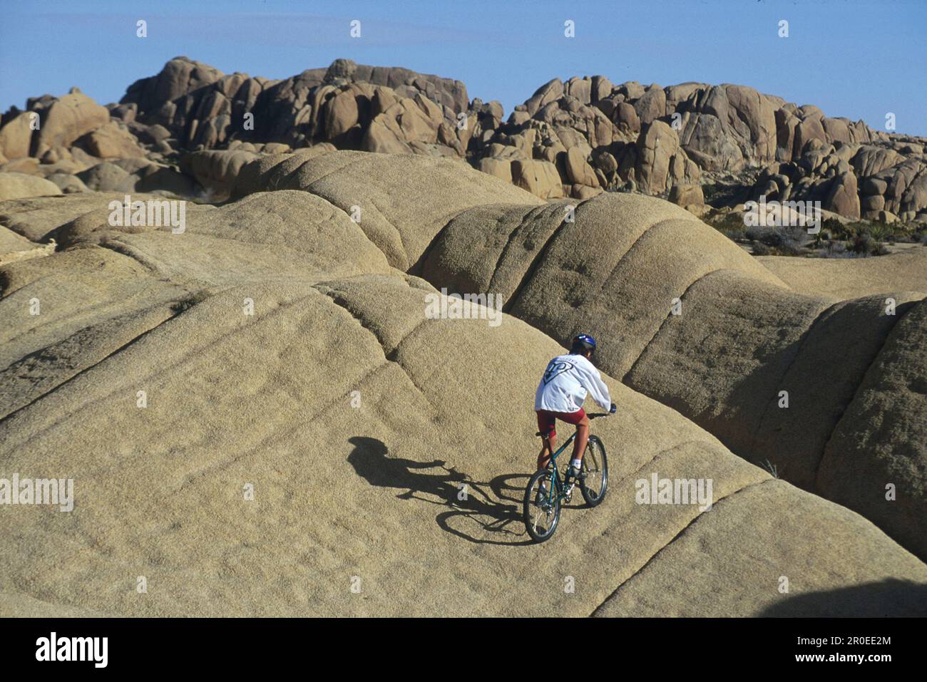 Mountain Biking, USA, MTB, Sport Fully Released Stock Photo - Alamy