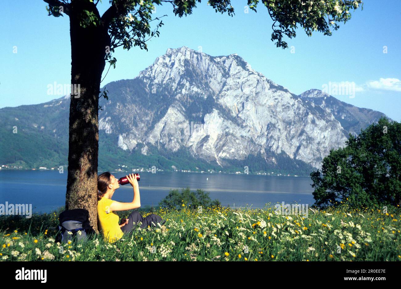 Girl having a rest in a field of flowers, Traun Lake, Traunstein ...
