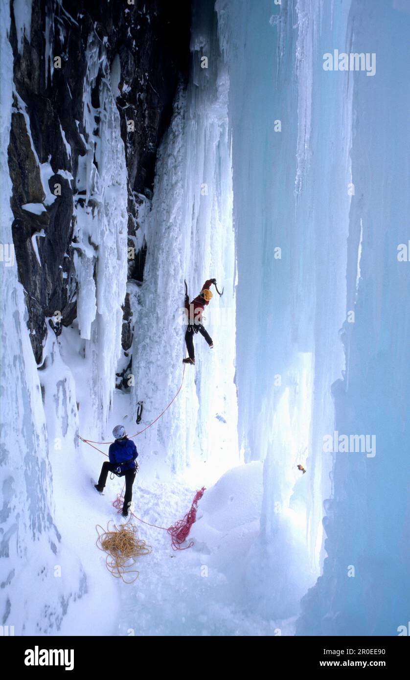 Golden origins hi-res stock photography and images - Alamy