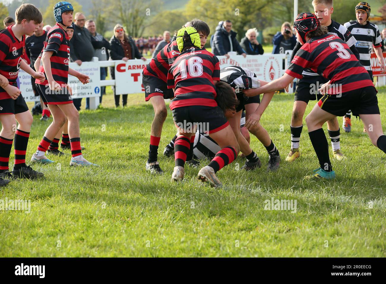 Tumble rfc hi-res stock photography and images - Alamy