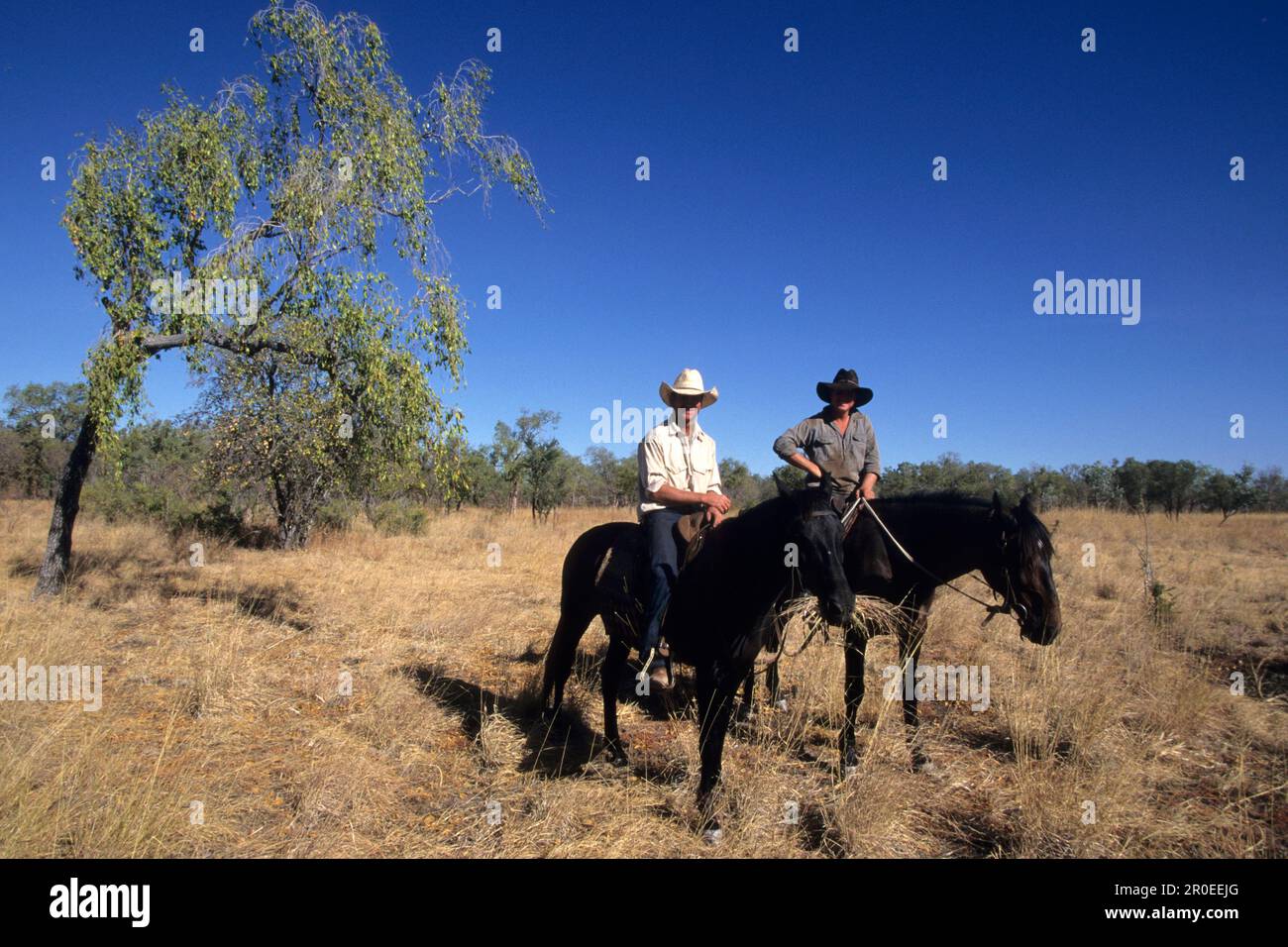 Farmer horse australia hi-res stock photography and images - Alamy