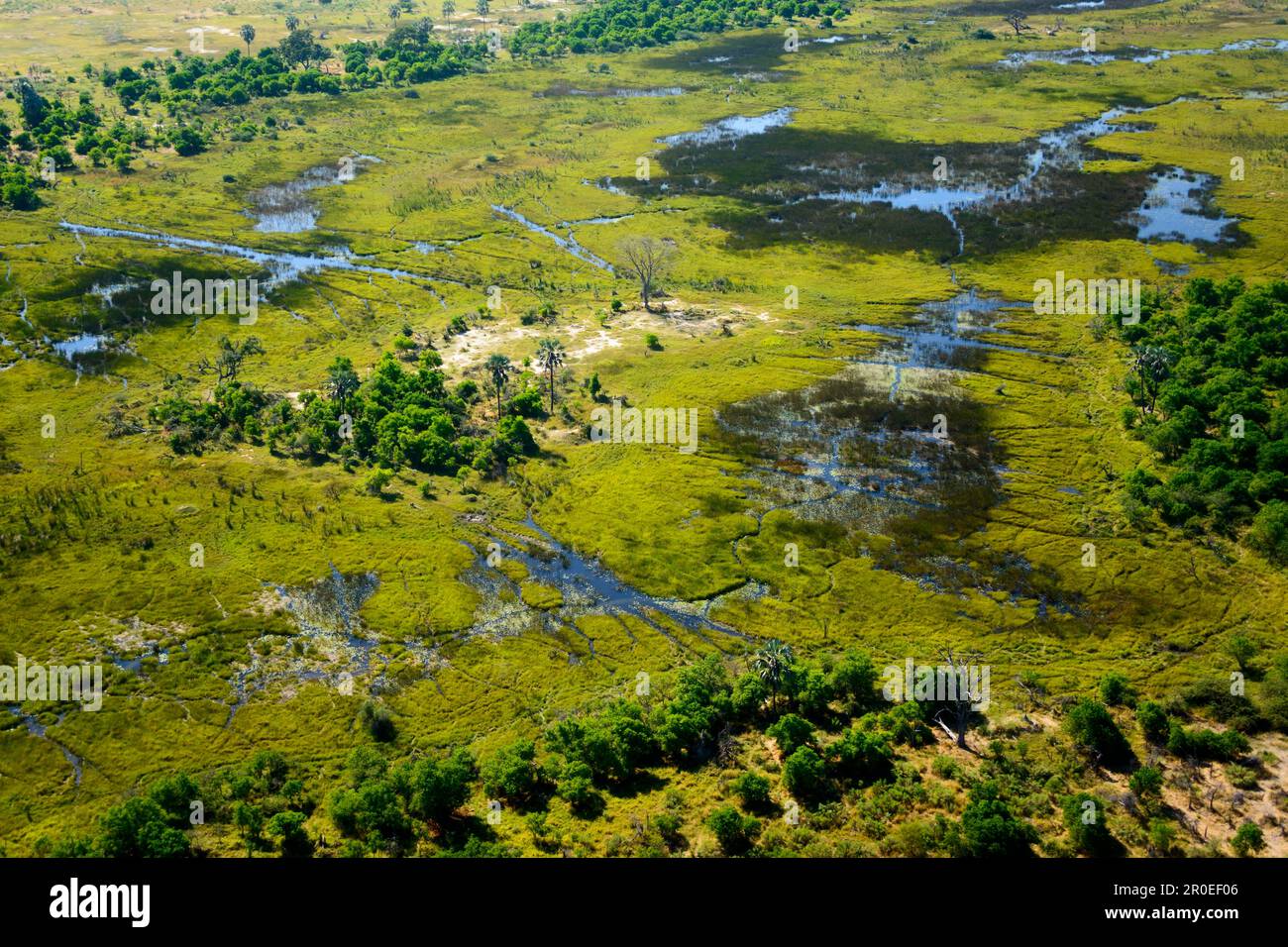 Aerial view, Okavango Delta, Botswana Stock Photo - Alamy