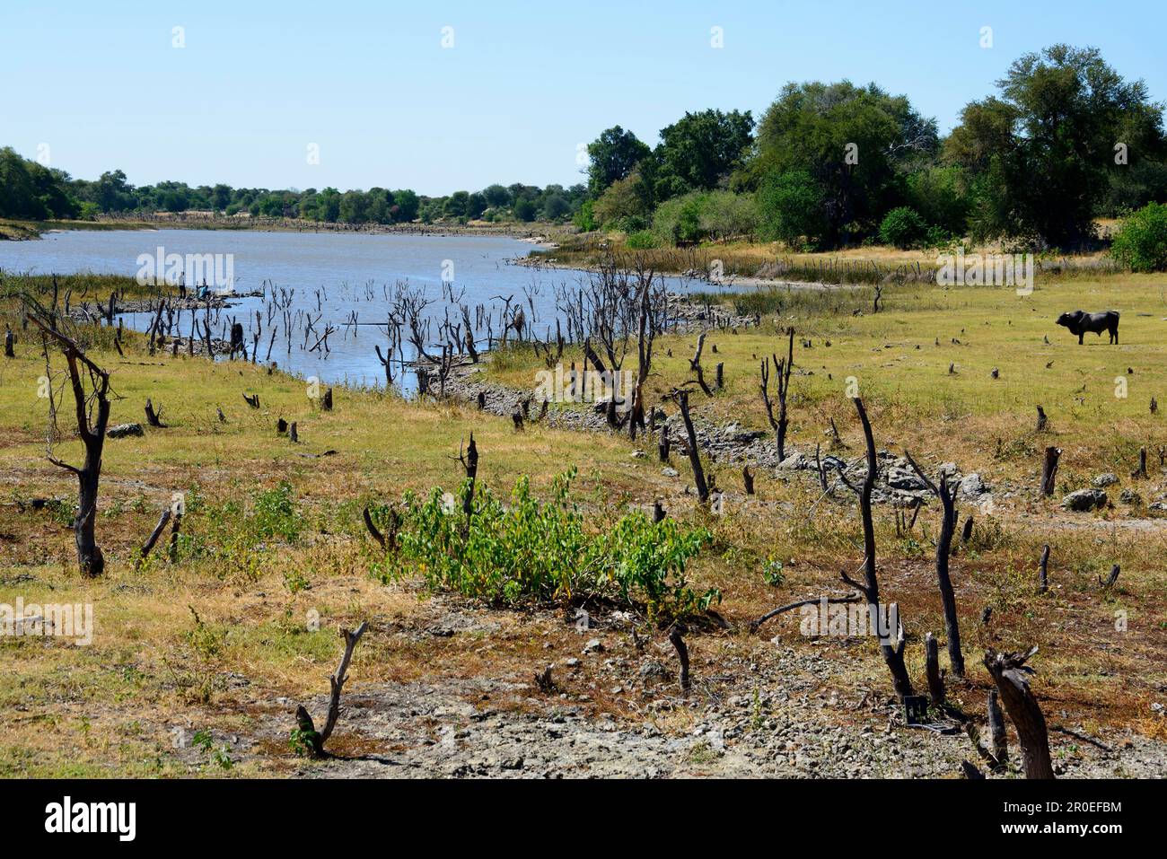 Botswana boteti river hi-res stock photography and images - Alamy