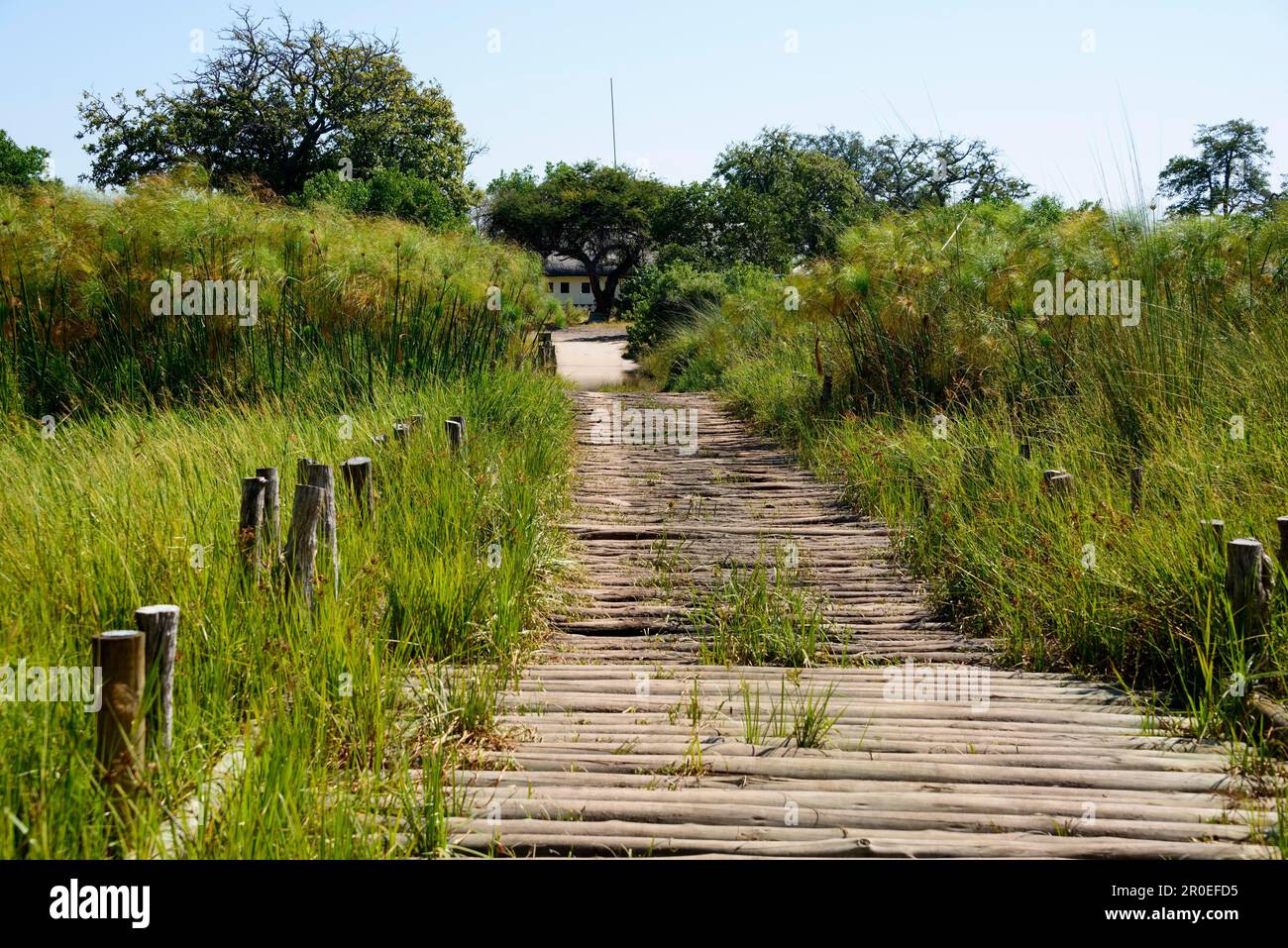 Third Bridge, Moremi Wildlife Reserve, Okavango Delta, Botswana Stock ...