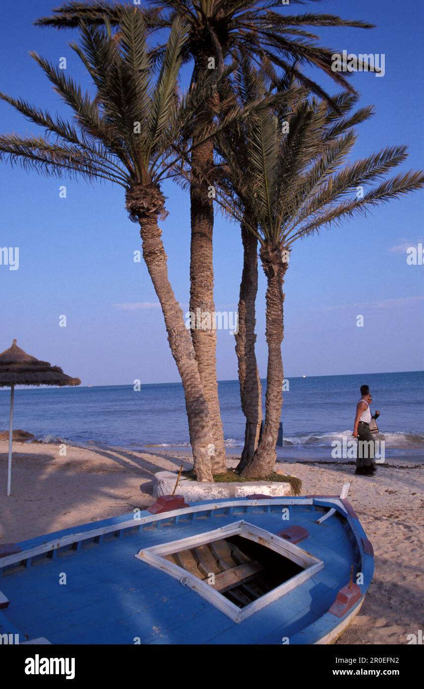 Palm trees and boat at Seguia beach, Djerba, Tunesia, Africa Stock ...