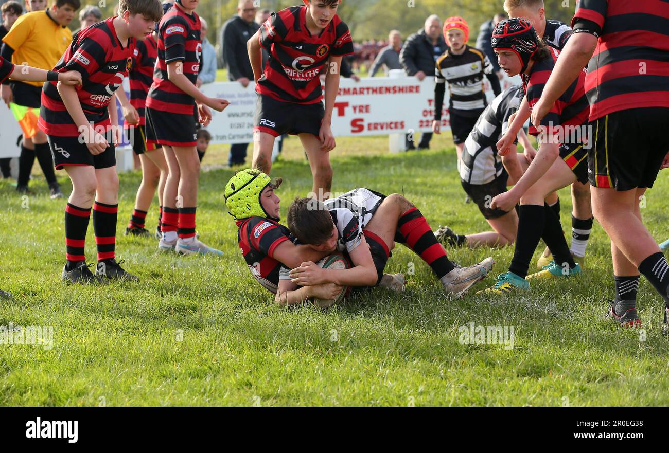 Tumble rfc hi-res stock photography and images - Alamy