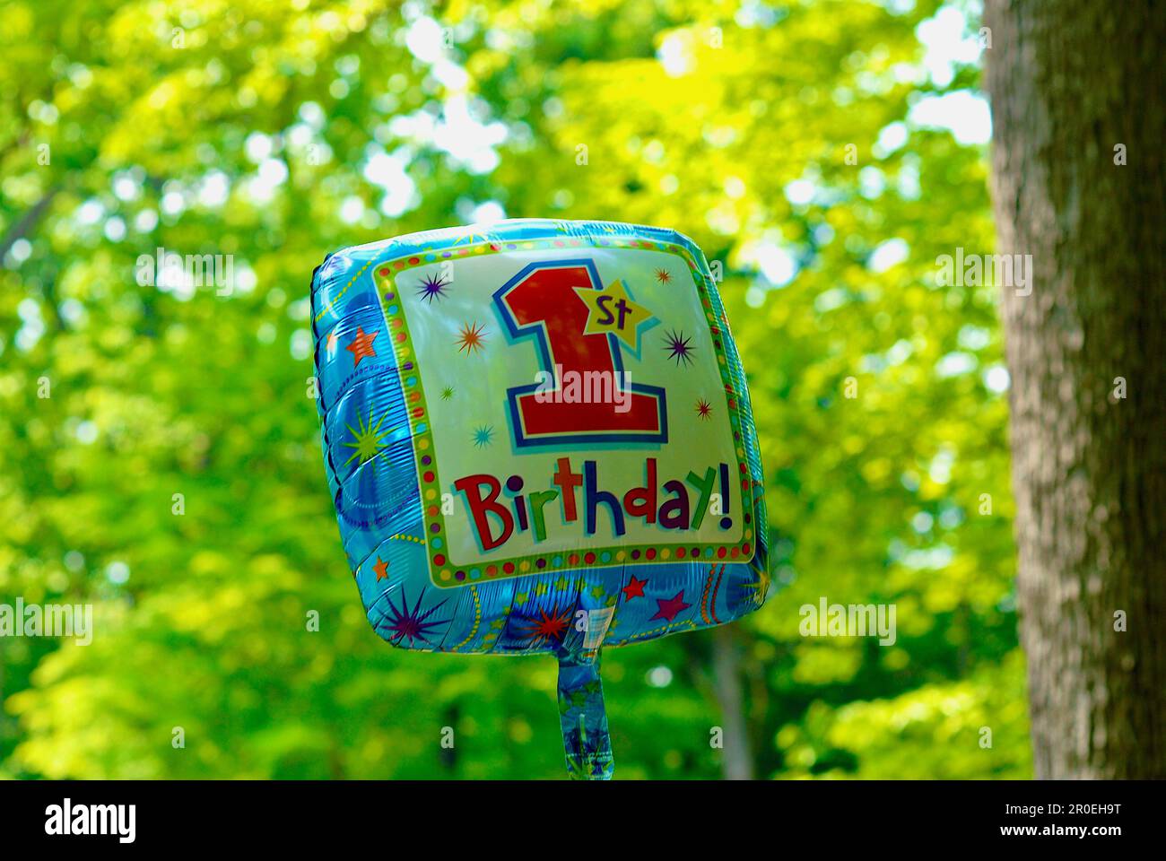 A single "1st Birthday!" mylar balloon filled with helium floats above ...