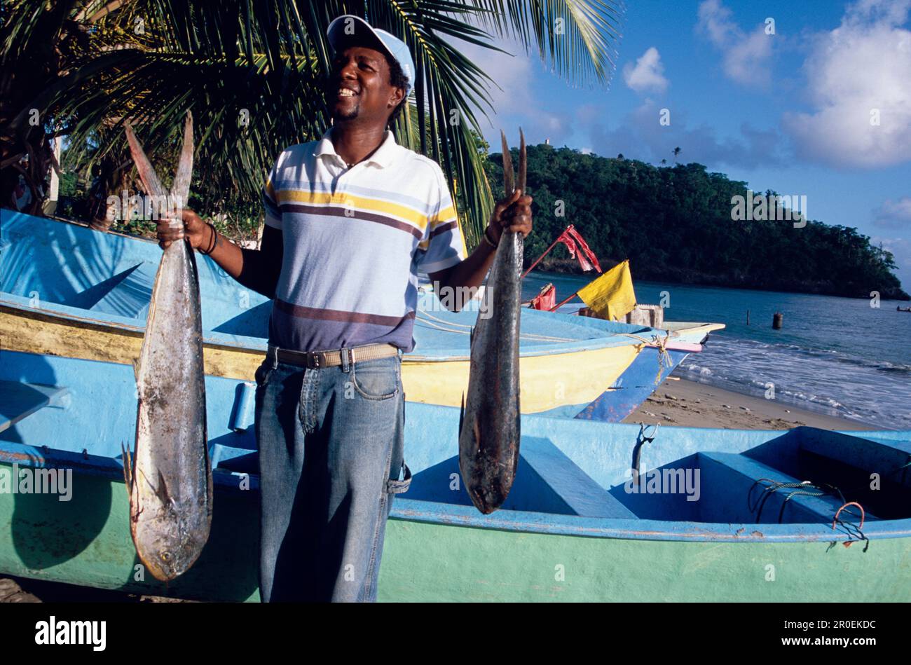 Fisherman with fresh fish near Cacaos, Samana Peninsula, Dominican ...