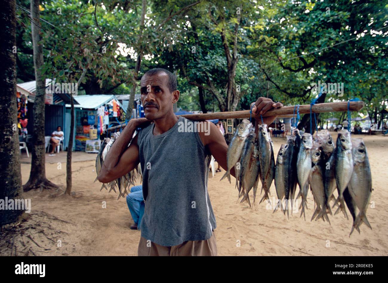 Man, Selling, Fish, Selling fish on Sosua Beach, Dominican Republic ...