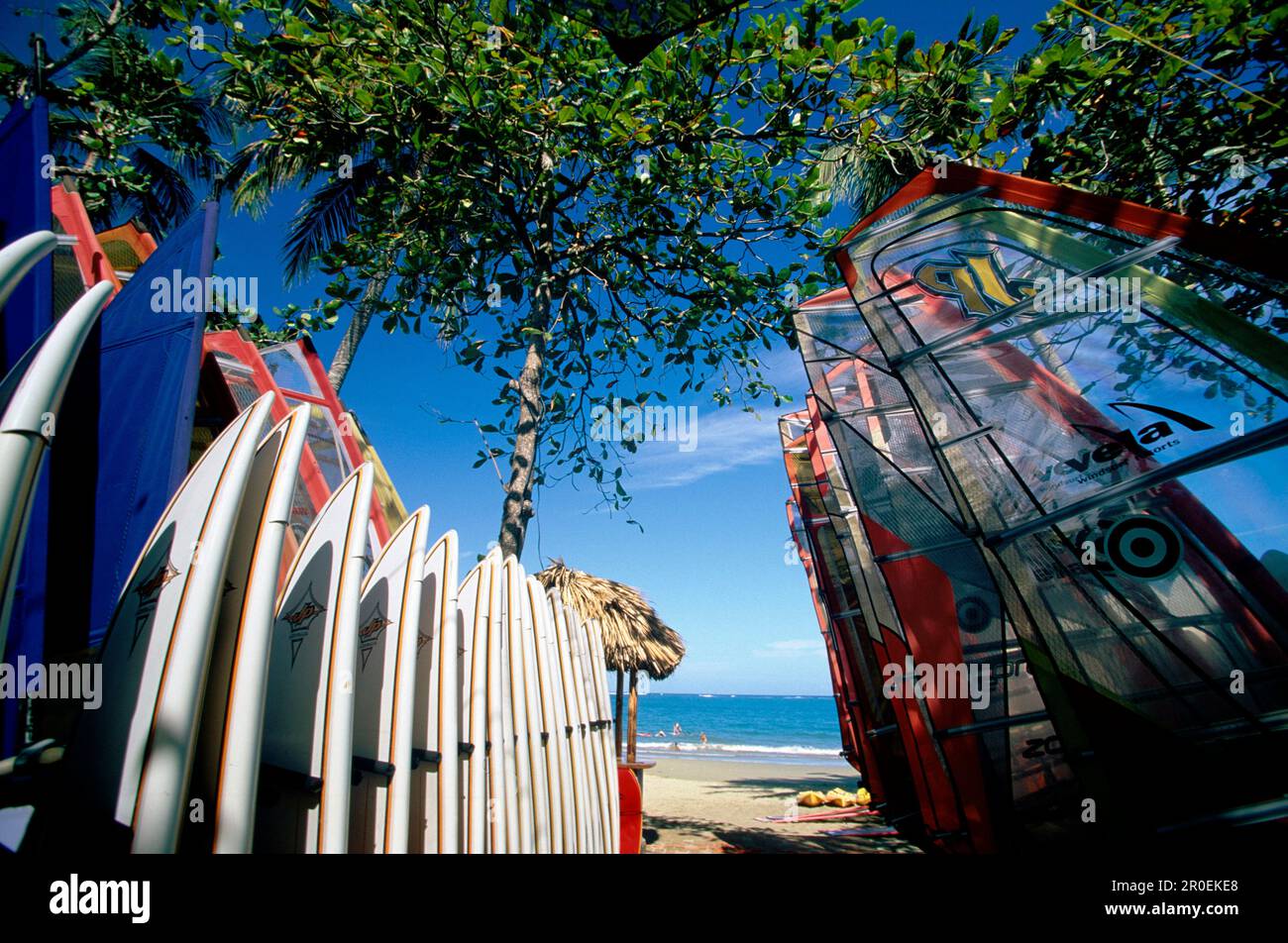 Surf Boards, Beach, Line, Boards lined up in a Surf School on the beach ...