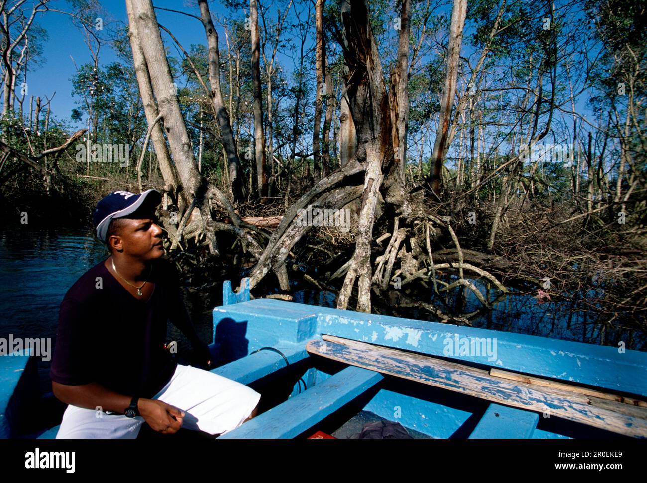 Mangrove Forest, Boat, Man, Boat trip to mangrove forest Laguna Gri-Gri ...