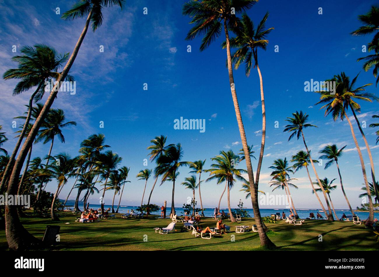Sky, People, Palm Trees, Casa Marina Bay Resort in Las Galeras ...