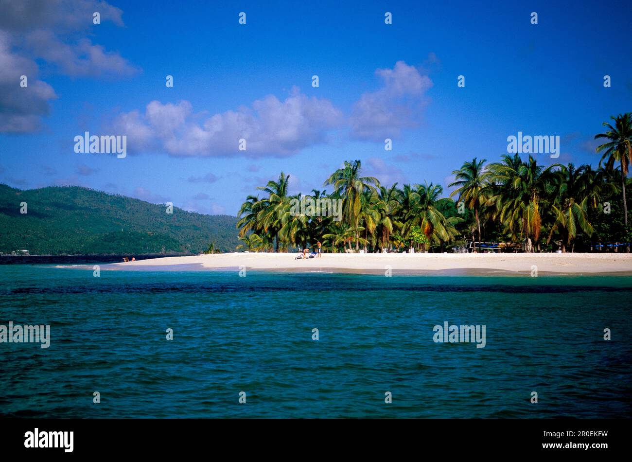Beach with palm trees, Cayo Levantado Bahia de Samana, Cayo Levantado ...