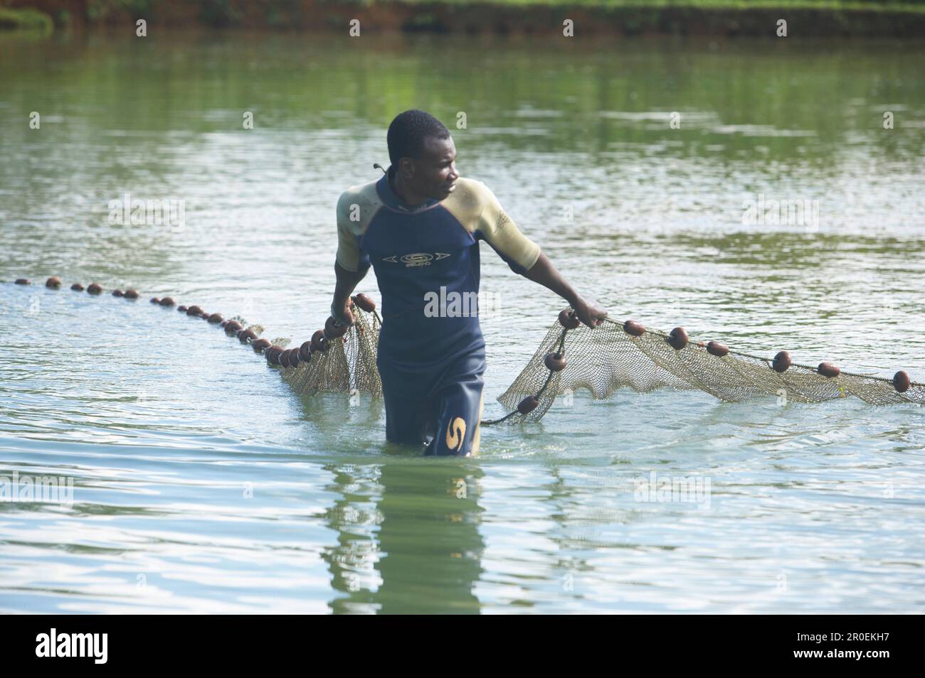 Fishing, Net, Man, Fishing on premisis of Rum Distillery Domaine de ...
