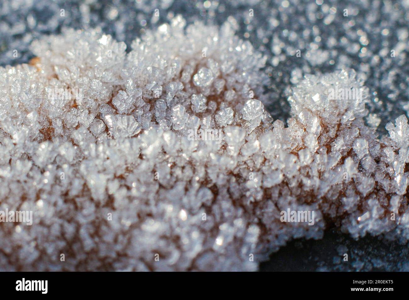 A winter scene featuring a white surface lightly dusted with a layer of ...