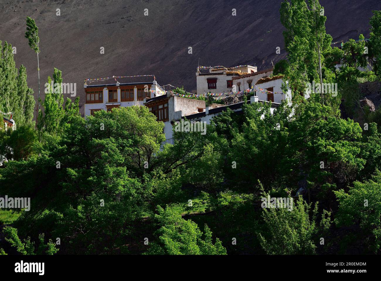 India jammu kashmir ladakh alchi hi-res stock photography and images ...
