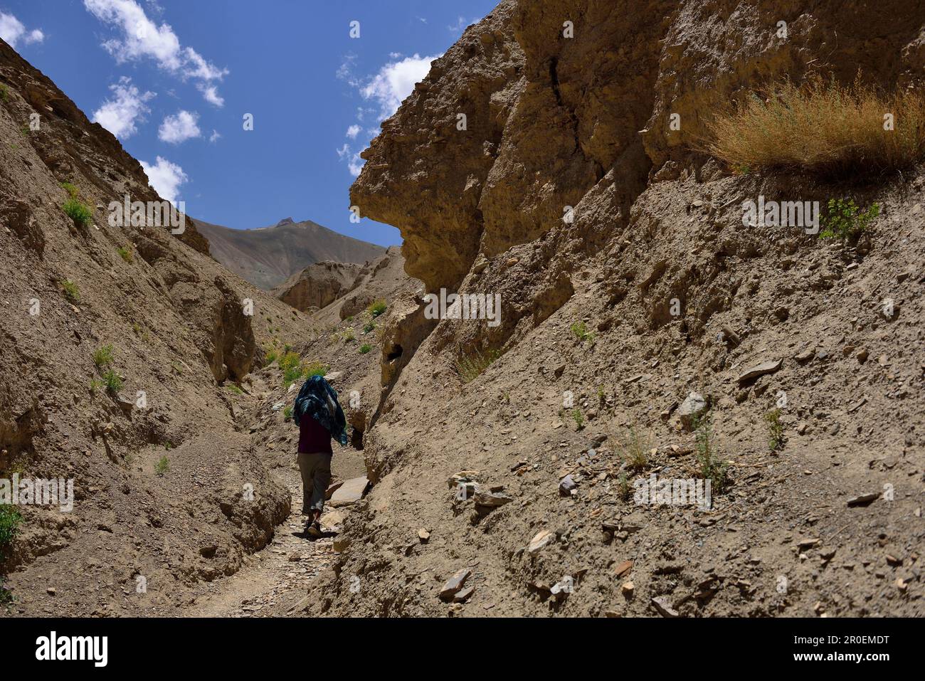 Trek Lamayuru, Wanla, near Lamayuru, Ladakh, Jammu and Kashmir, India ...
