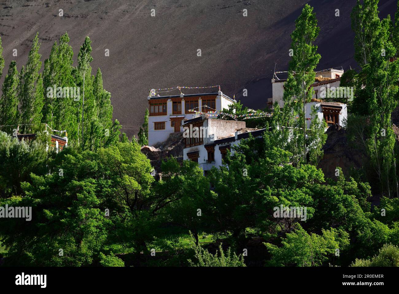Alchi, Ladakh, Jammu and Kashmir, India Stock Photo - Alamy