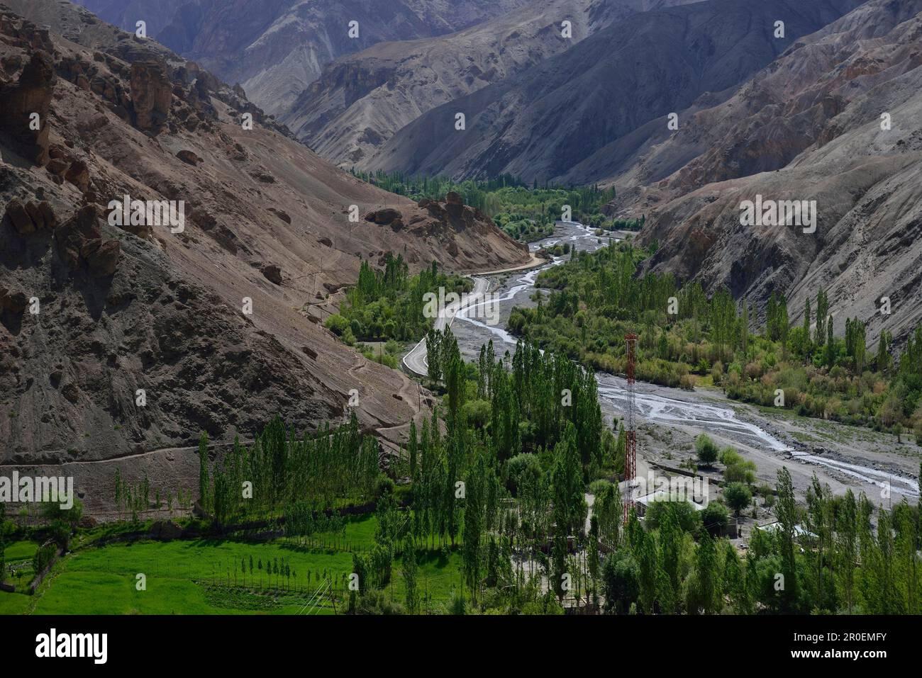 Grain fields, Wanla, Ladakh, Jammu and Kashmir, India Stock Photo - Alamy
