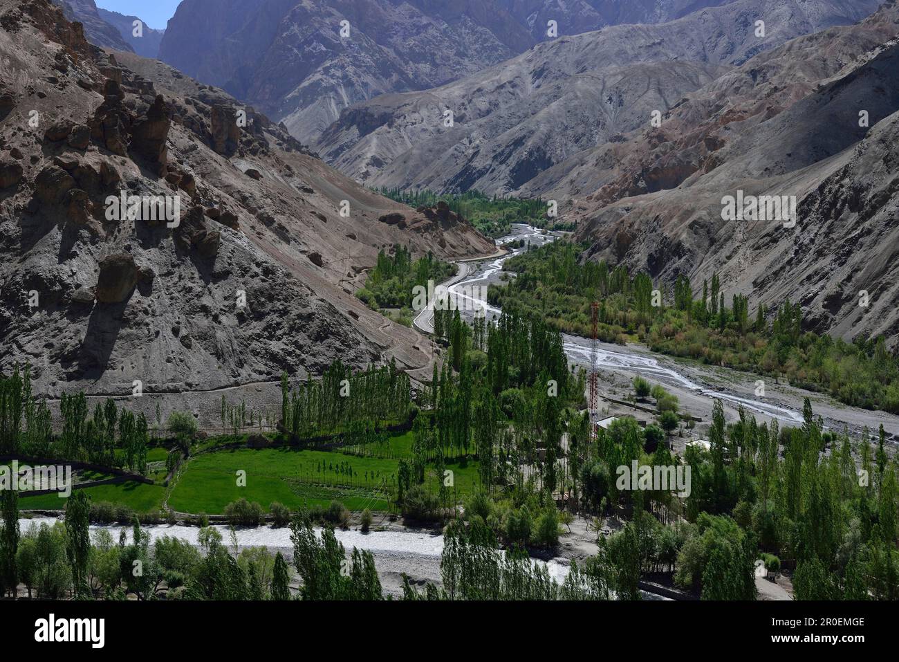 Grain fields, Wanla, Ladakh, Jammu and Kashmir, India Stock Photo - Alamy