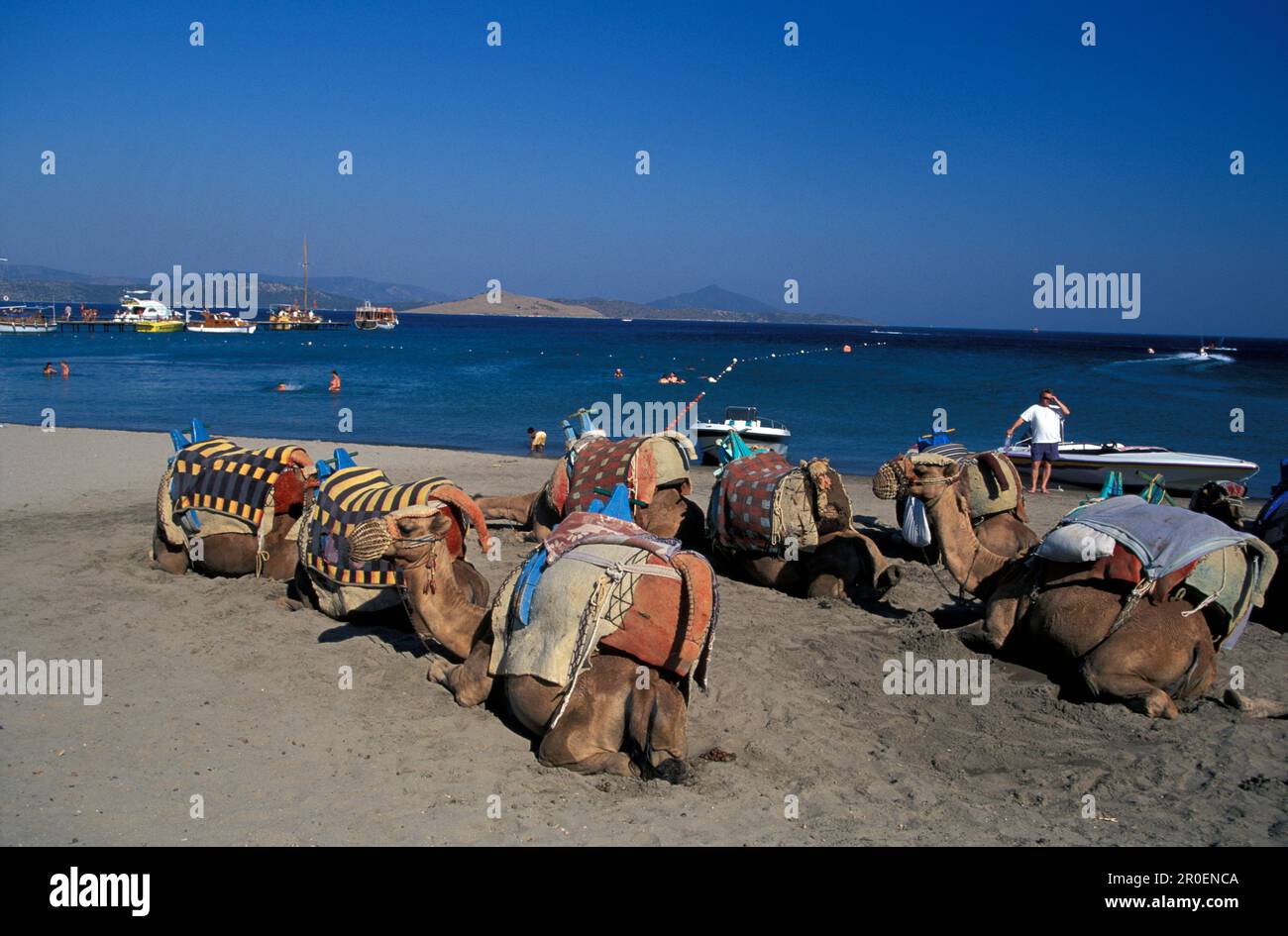Camel Beach, Bodrum Tuerkei Stock Photo - Alamy