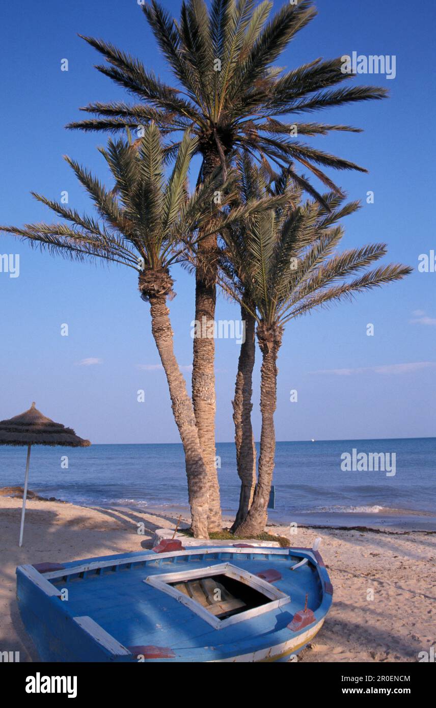 Palm beach and boat, Plage Seguia, Djerba Island, Tunisia, North Africa ...