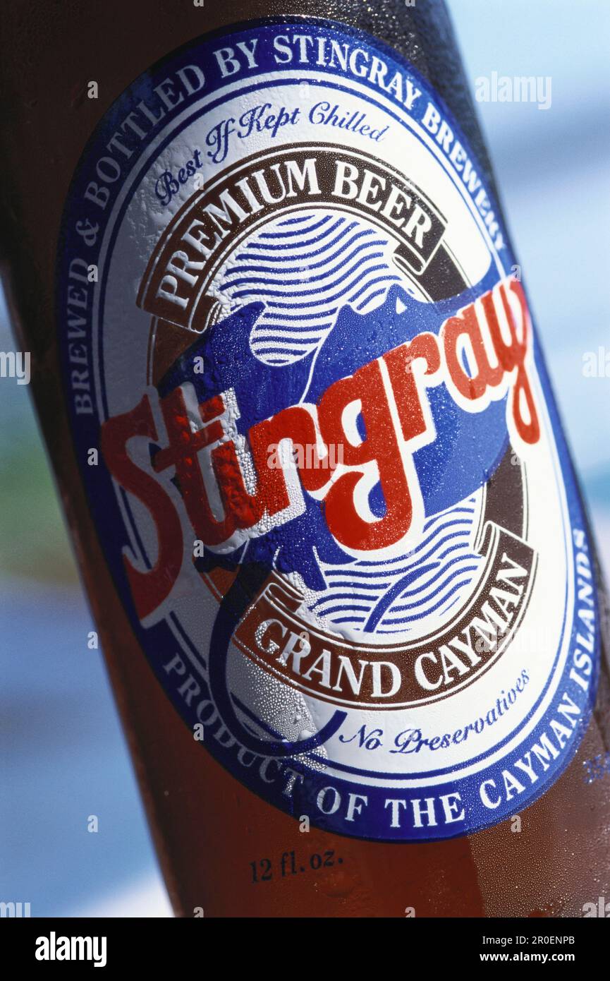 Lokales Stingray, Bier, Cayman Islands Karibik Stock Photo - Alamy