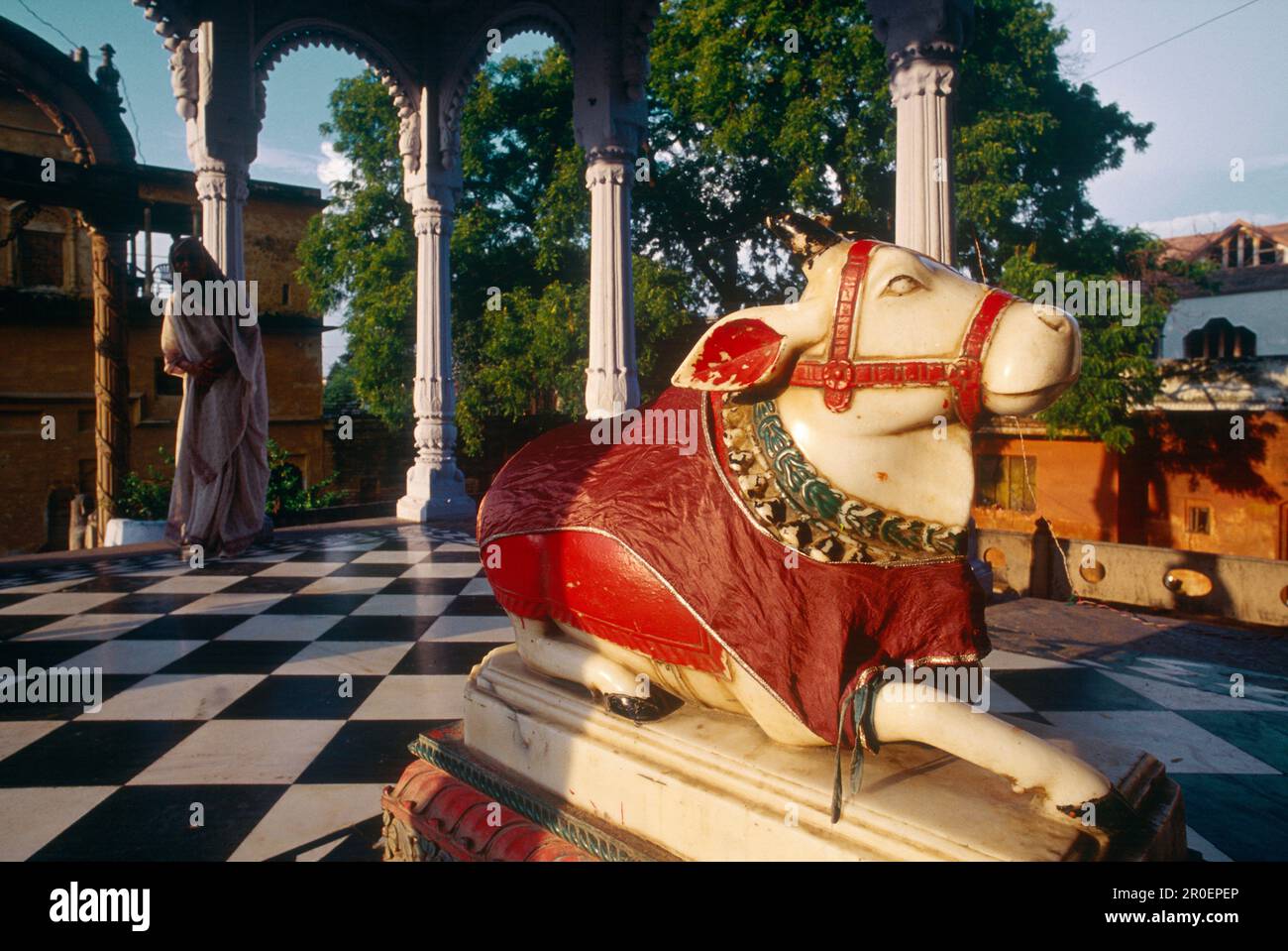 Statue of holy cow at Shiva temple, Varanasi, Benares, Uttar Pradesh ...